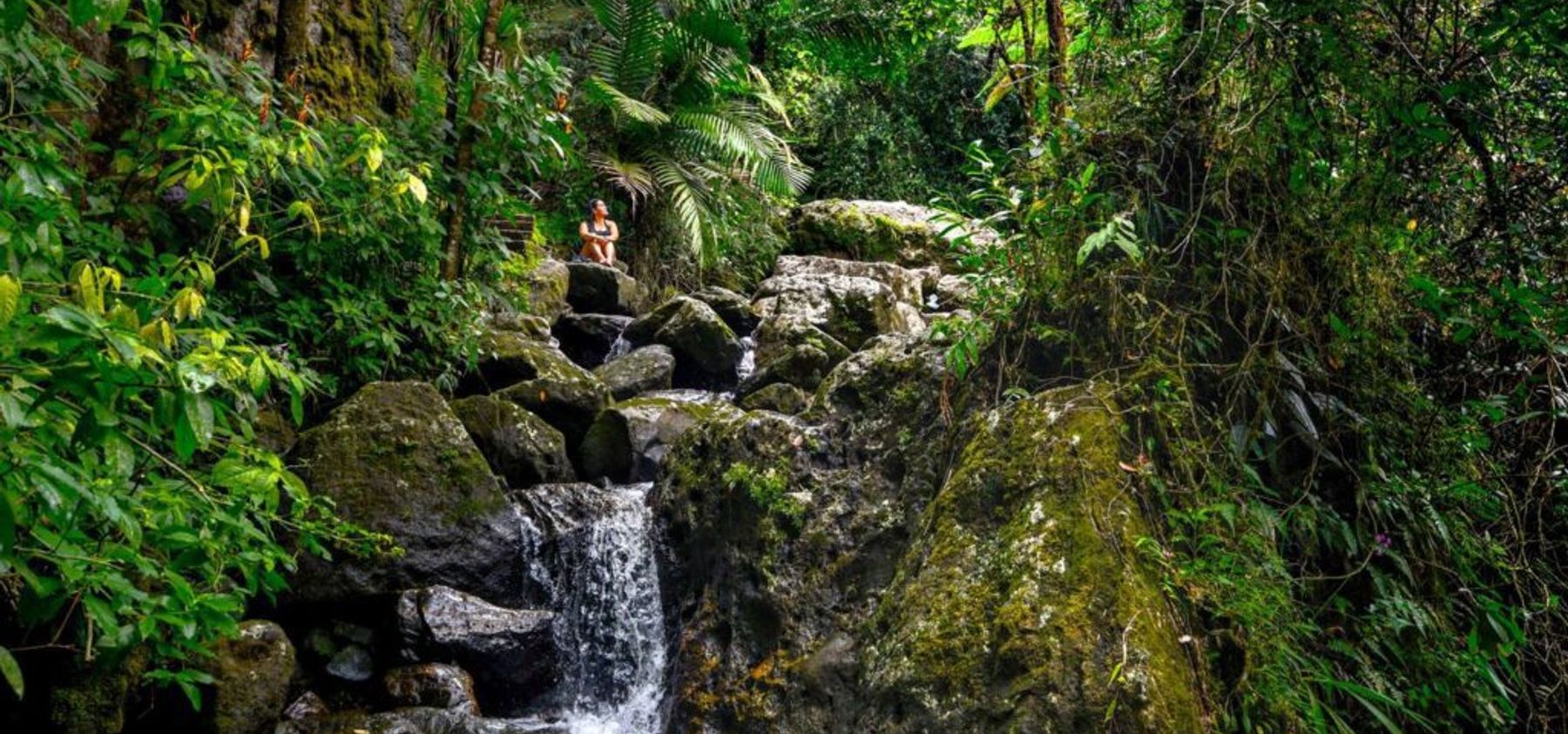 11 Amazing Things To Do In Río Grande, Puerto Rico | Otium