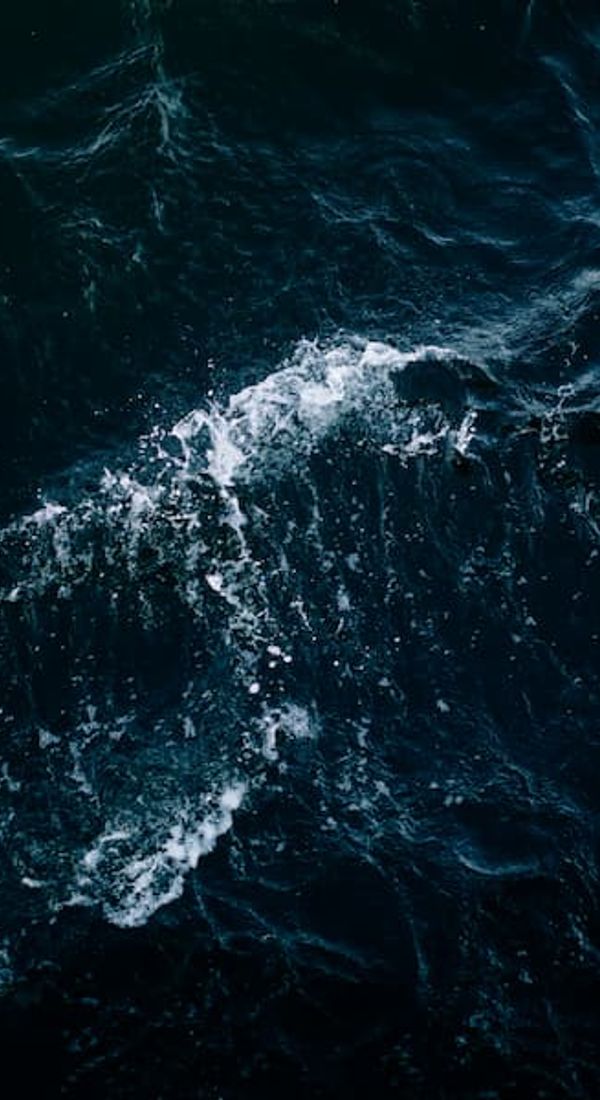 The Weekender | Otium